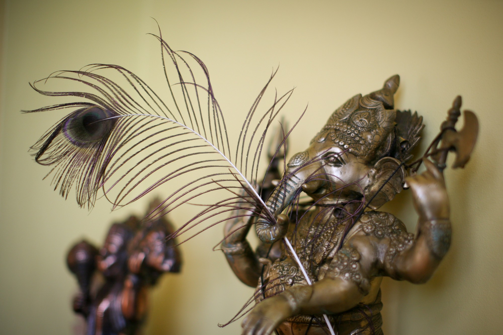 Follow Up Consultation | Welcome to Anadi Ayurveda